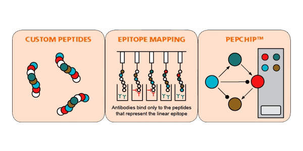 Pepscan Presto - Clinical Trials Arena