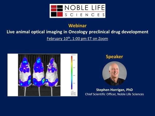 Live Animal Imaging in Oncology Preclinical Drug Development - Clinical ...