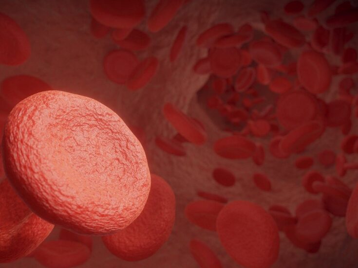 Brexafemme (ibrexafungerp) for the Treatment of Vaginal Yeast Infection