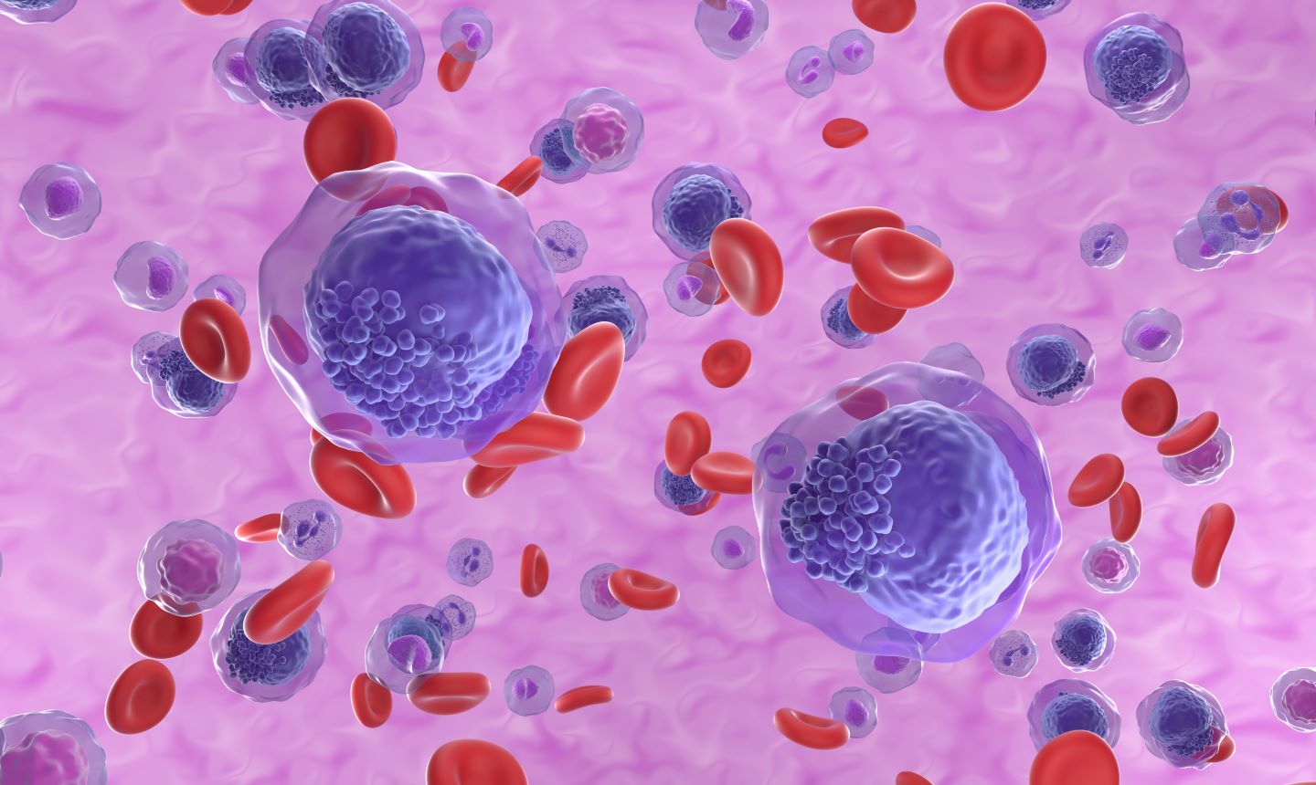 Eilean receives Australian HREC approval for Phase I AML trial