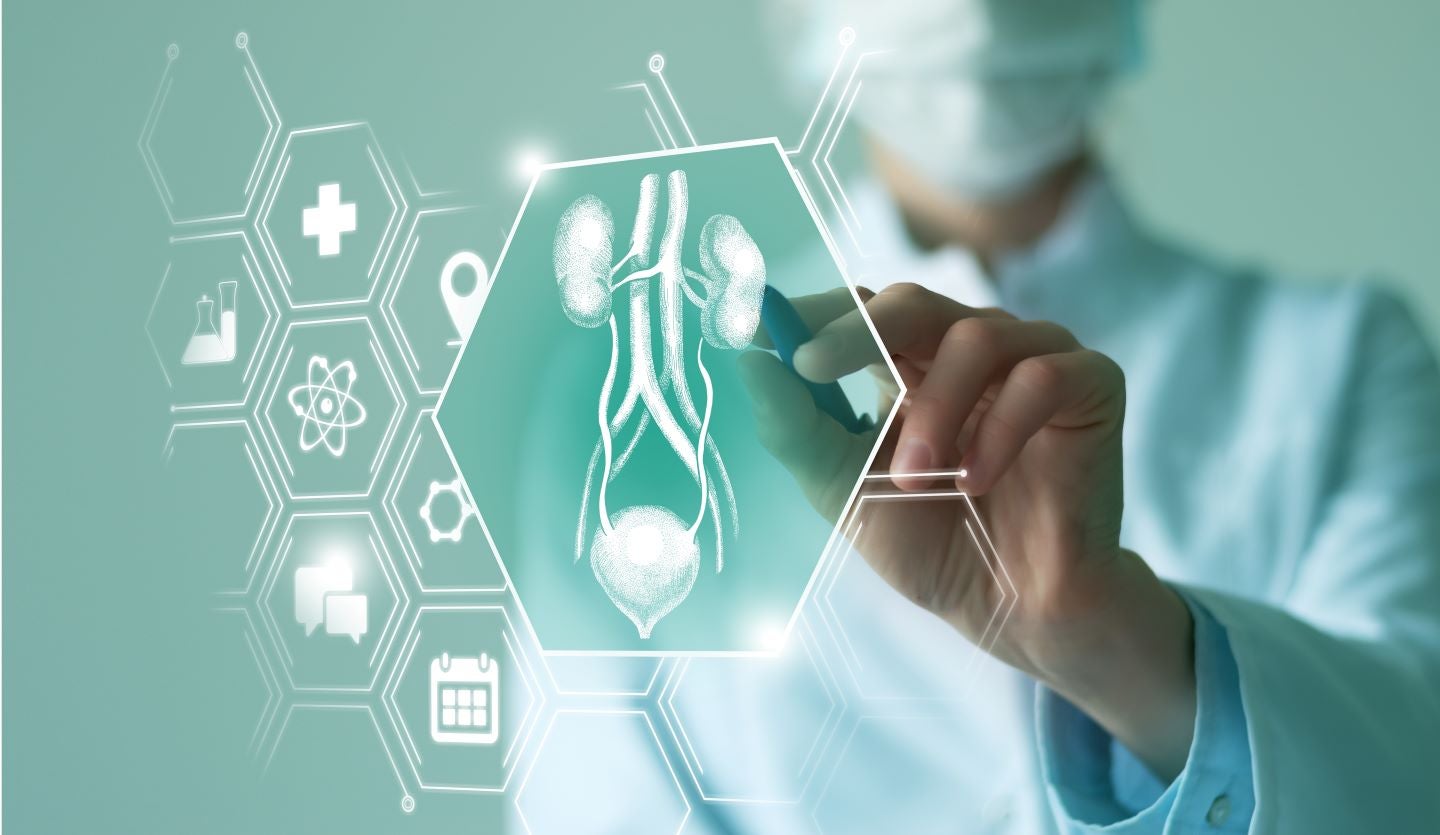 HI-Bio reports findings from trial in kidney transplant recipients