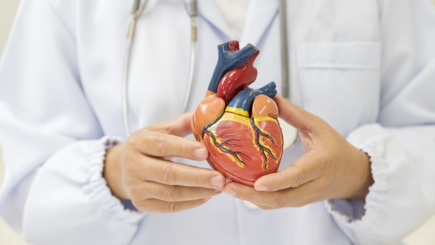 Eli Lilly reports positive data from Phase III HFpEF treatment trial