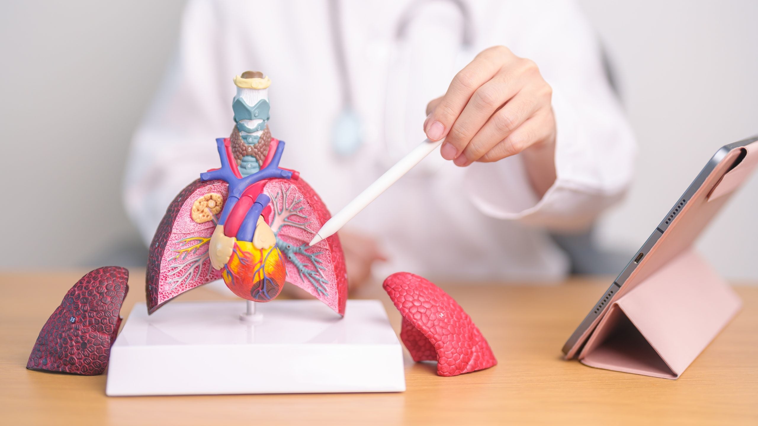 Clarametyx to advance trial of CMTX-101 with DMC approval