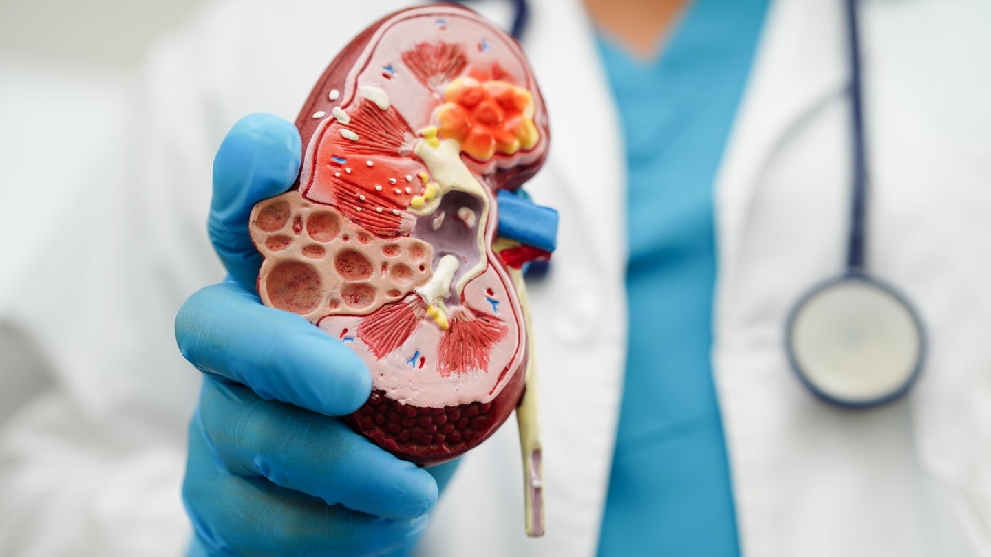 Kamada enrols first subject in Cytogam trial for CMV infection